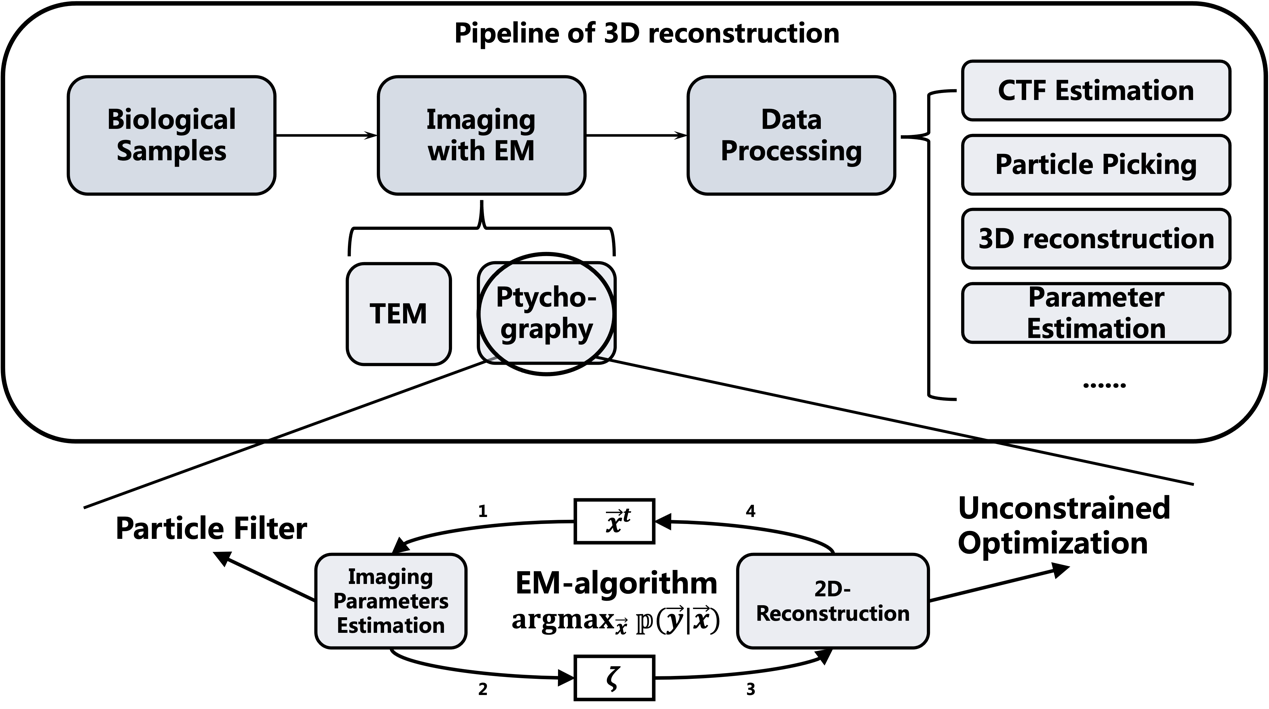 Single Prticle Reconstruction for Cryo-EM